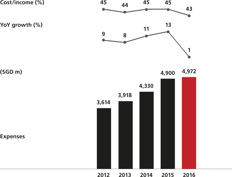 CFO statement - DBS Annual Report 2016
