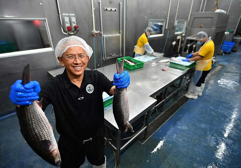Scaling towards zero food waste in fish farming
