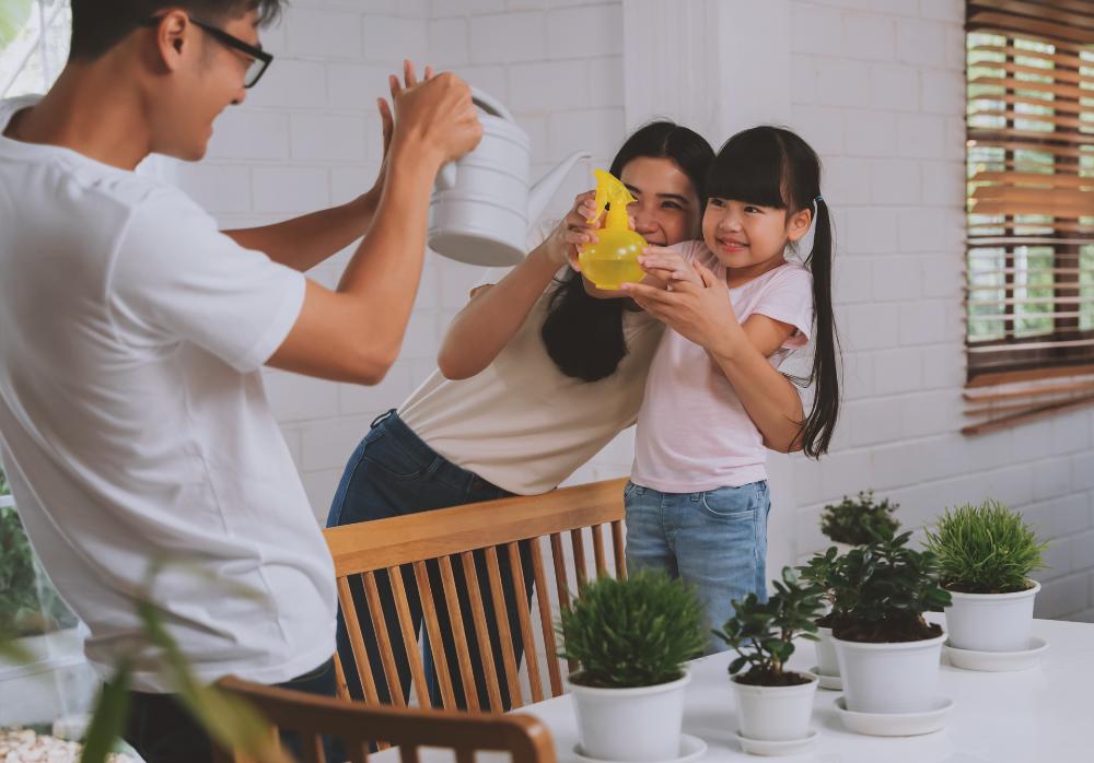 Plant Parenting Tips: Common Problems | DBS Bank