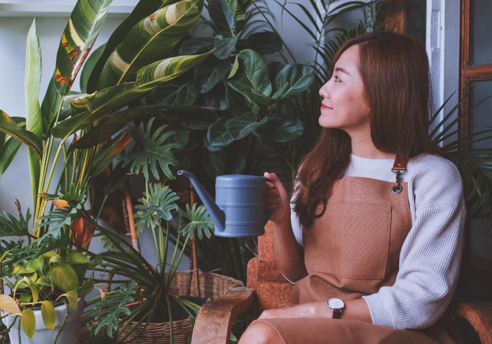 Plant Parenting Tips: Common Problems | DBS Bank