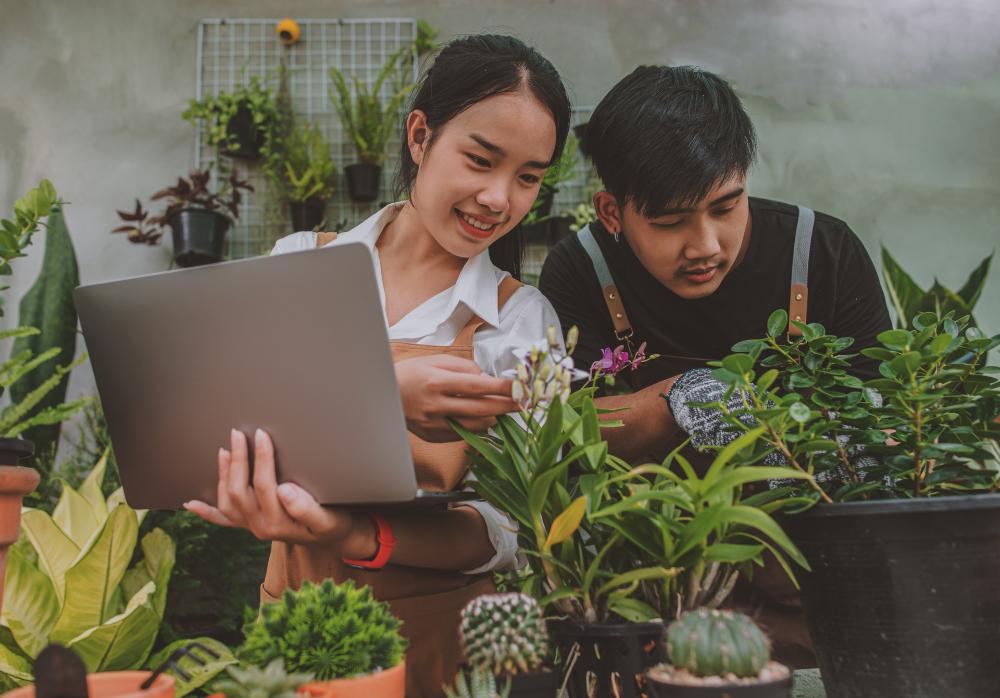 Plant Parenting Tips: Common Problems | DBS Bank