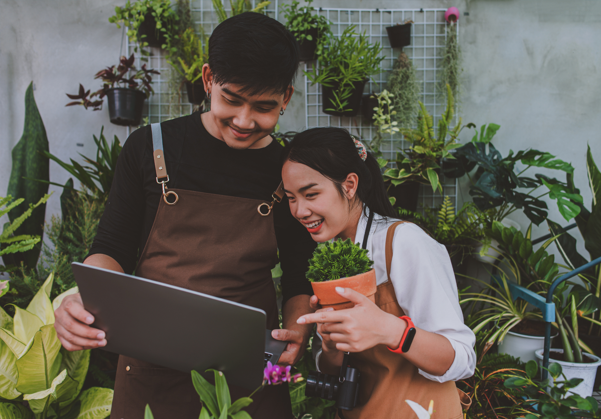 DBS Live more, Bank less