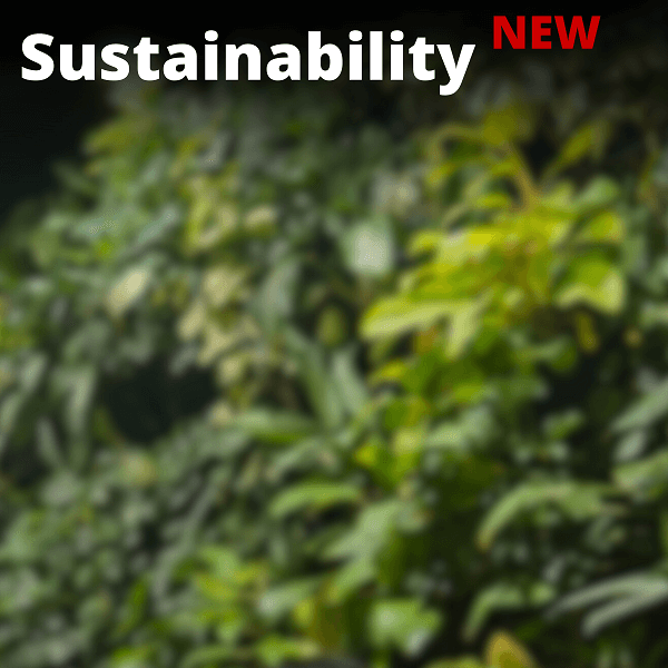 Management Associate Programme | DBS Bank