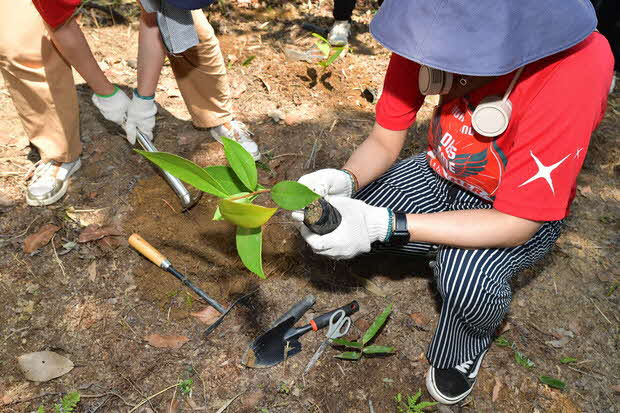 Trees for tomorrow: DBS Hong Kong SME Banking plants and preserves ...