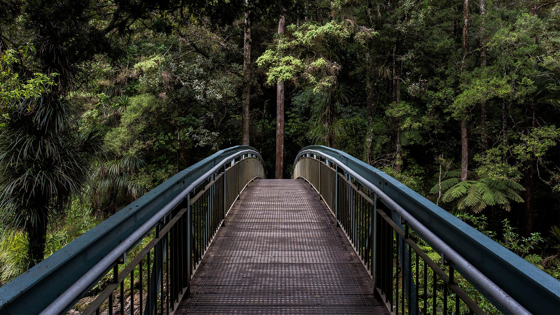 Three Eco-Warriors making our world more sustainable