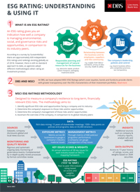 The Ins and Outs of MSCI ESG Ratings | DBS Private Bank